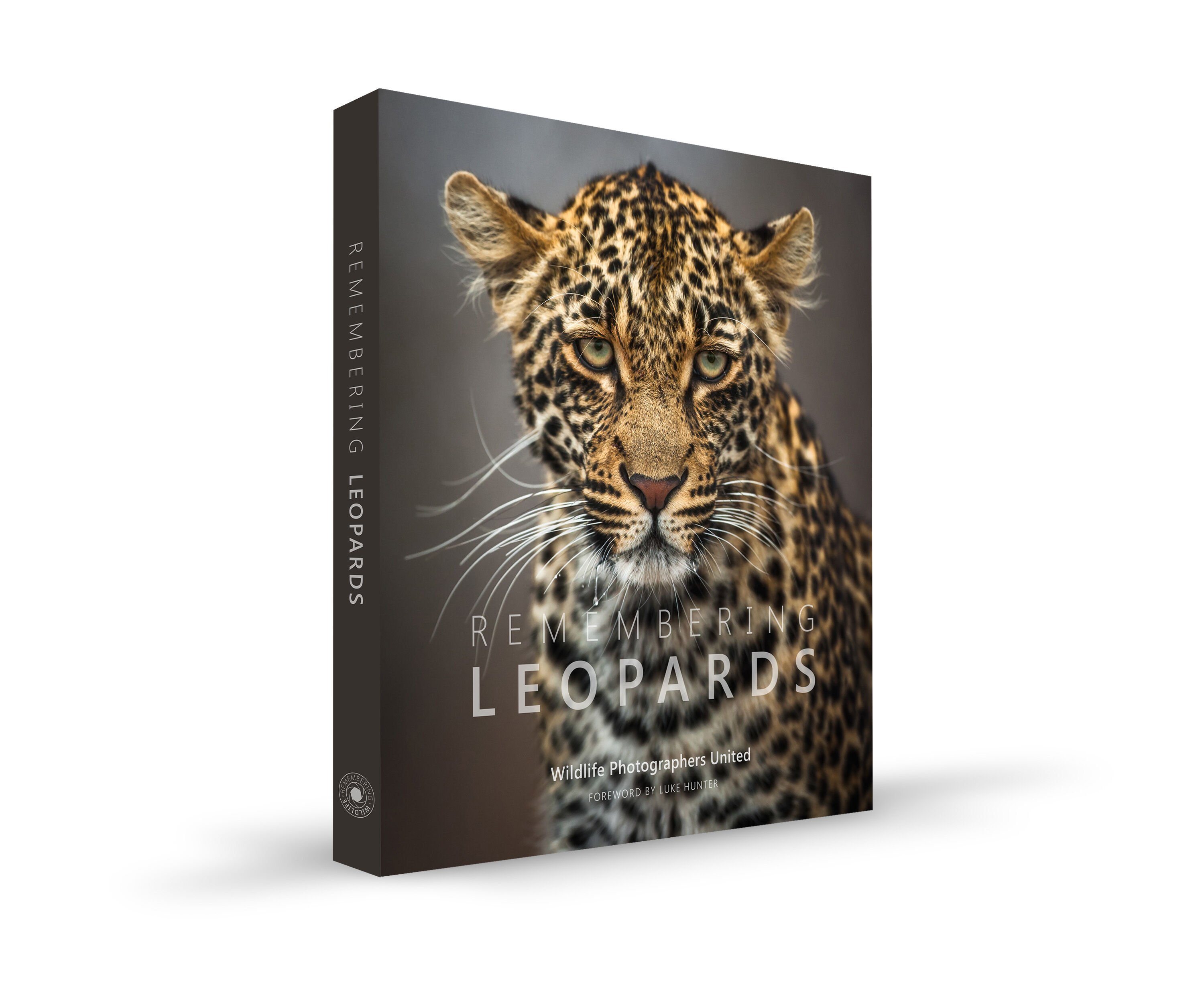 Remembering Wildlife | Remembering Leopards Exhibition | Coin Street Remembering Wildlife | Remembering Leopards Exhibition | Coin Street